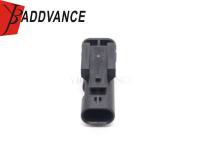 China TE Connectivity AMP MCON 1.2 Male 2 Pin Sealed Auto Connector Plug 1-1703498-1 for sale