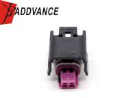 China GT150 2 Way Sealed Female Waterproof Automotive Connector 13520101 PA66 GF 125C for sale