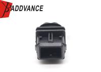 China 1928402448 2 Pin EV1 Bosch Jetronic Fuel Injector Connector Female Sealed 16-22AWG for sale