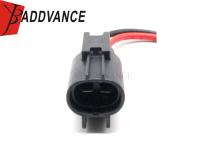China 176143-2 4.8mm Automotive Male 2 Pin Connector Wire Harness Sealed Nylon for Ford Mazda Toyota for sale