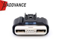 China Molex 31034-3018 12 Pin Female Wiper Motor Connector for Ford Transit Custom F250 5U2Z-14S411-KC for sale