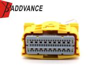 China 54 Pin Female Sealed Board-to-Board Auto Wire Connector PBT 125°C for Truck for sale