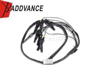 China Multin 20 Pin Sealed Wire Harness Automotive Electric Engine Connector -55 to 125°C for sale