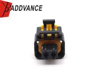 China Automotive Electrical MTA Female HP6 280 Series Waterproof 2 Pin Connector 4510840 PA66 for sale