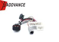 China Electronic Automobile Assembly OEM ODM Standalone Max ECU Wire Harness for sale