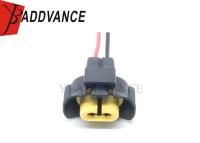 China Auto Waterproof Female Headlight Fog Lamp Connector 2 Pin Wire Harness 6189-0935 for Toyota Mazda for sale