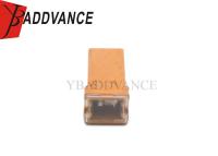 China Female 2 Pin Auto Wire Harness Connector Micro Cartridge Fuse 30A 06102076AA for sale