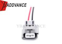 China 6189-0175 2 Pin Female TS 2.3mm Sealed Fog Light Connector Wire Harness for Toyota Ford 90980-11019 for sale