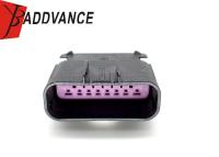 China GT150 16 Pin Male Automotive Connector Assembly - 30 Amp, -40℃ to 125℃ Temperature Range, PA66 Housing for sale