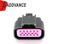 China GT 150 Series 12-Pin Female Weather Pack Connector - 2 Row PBT Housing, 15A Rating, -40℃ to 125℃ for sale