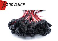 China 2 Pin 5 Pin Female Fuel Pump Connector Wiring Harness for Nissan Skyline Sealed -55 to 125°C for sale