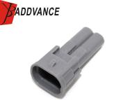 China Gray 2 Pin Male Connector Automotive Waterproof Electrical Connector for Nippon Denso Fuel Injector -40℃ to 120℃ for sale