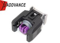 China Diesel Injector Connector 2 Pin Female 13816706 Common Rail Engine 18-22 AWG for sale