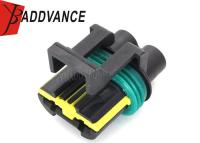 China Metri-Pack 6.3 Series 2 Pin 2 Wire Female Connector with Terminals 12033997 for sale