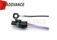China Custom Automotive Weather Pack 3 Pin Harness Connector 125°C Sealed Nylon Terminal Plug for sale