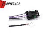 China Custom Automotive Weather Pack 3 Pin Harness Connector 125°C Sealed Nylon Terminal Plug for sale