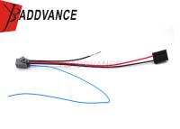 China Custom 346027-1 2 Pin Female Automotive Fuel Pump Connector Wiring Harness PA66 PBT 125°C for sale