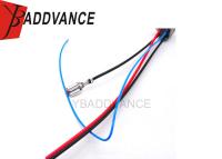 China Custom 346027-1 2 Pin Female Automotive Fuel Pump Connector Wiring Harness PA66 PBT 125°C for sale