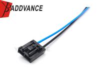 China 2 Pin Female Automotive Fuel Pump Harness Connector PA66 125°C High Temperature Wire for sale