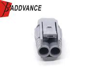 China 6189-0267 2 Pin Female Sealed Auto Wiring Harness Connector for Toyota 90980-11038 for sale
