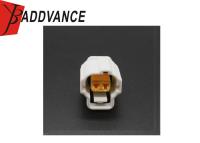 China 2 Hole AMP Receptacle Waterproof Automotive Connector 184020-1 Sealed Nylon 125C for sale