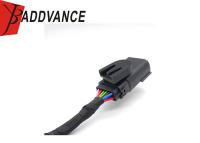 China Right Side Fuel Injection Ignition Wire Harness Fit Ford F-150 GM 4.3L V6 2015-2020 125C for sale
