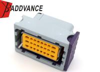 China Grey 24-Pin Automotive ECU Connector 211PC249S0005 - 33.6mm x 51.6mm x 32.5mm, -40℃ to 125℃ Temperature Range for sale
