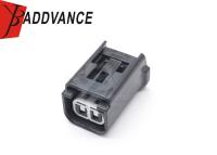 China 6189-7171 2 Pin Automotive Waterproof Connector Car Ignition Coil Wire Harness Plug For Ford Mazda for sale
