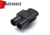 China Auto 6189-0338 2 Pin Female Black Wire Harness Connector with Terminals and Seals for sale