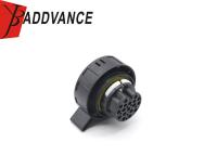 China 420973716 16 Pin 0B5 Transmission Gearbox Body Connector For VW Audi A4 A5 A6 A8 Q5 for sale