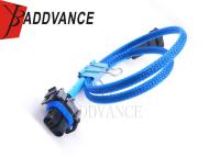 China Aptiv 2 Way Male Female Auto Connector Wiring Harness With Blue Braided Protective Sleeve Automotive Pigtail Cable Assembly for sale