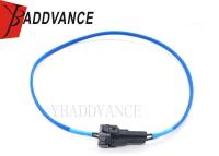 China Aptiv 2 Way Male Female Auto Connector Wiring Harness With Blue Braided Protective Sleeve Automotive Pigtail Cable Assembly for sale