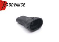 China 2 Pin D-elphi Male 2.8mm Plug 899 H27 Two Harness Fog Light Replace Socket Connector Plug for sale