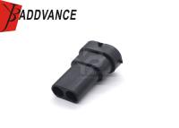 China 2 Pin D-elphi Male 2.8mm Plug 899 H27 Two Harness Fog Light Replace Socket Connector Plug for sale