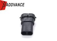 China 2 Pin D-elphi Male 2.8mm Plug 899 H27 Two Harness Fog Light Replace Socket Connector Plug for sale