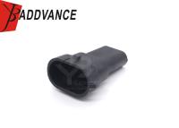China 2 Pin D-elphi Male 2.8mm Plug 899 H27 Two Harness Fog Light Replace Socket Connector Plug for sale