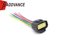 China TE AMP 174661-2 Econoseal Mark II 12 Pin Female Transmission Range Sensor Pigtails for F-ord for sale