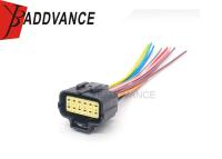 China TE AMP 174661-2 Econoseal Mark II 12 Pin Female Transmission Range Sensor Pigtails for F-ord for sale