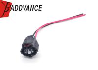 China 90980-11025 7283-7929 Car Plastic Sealed Plug Air Conditioning Acceleration Auto Water Jet Motor 2 Pin Wiring Harness for sale