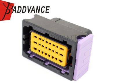 China 24-Way FEC ECU Sicma Sealed Automotive Connector with Terminals - 53.1mm Length, -40℃ to +125℃ Temperature Range for sale