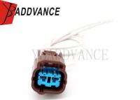 China Sumitomo HX Series Brown 2 Way Female Wire Harness Pigtail 6189-0593 22 AWG for sale