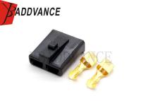 China 2 Pin Black Female Automotive Electrical Connector for Fuel Pump 16-22AWG DJ702113-6.3-21 for sale