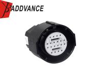China 20 Pin Female Automotive Electrical Connector 13603422 13603408 For GM LS1 LS6 97-06 for sale