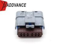 China 211PC062S1149 6-Way 1.5mm Accelerator Pedal Connector Housing for Citroen Peugeot with 13A Current Rating for sale