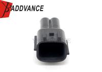 China 2 Pin Fuel Injector Waterproof Male Connector for Nissan BC7070B 16-22AWG for sale