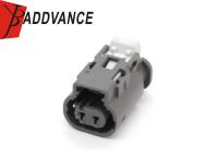 China TE Connectivity AMP Connector 2 Pin Female Gray PBT Housing 16-22AWG Sealed for sale