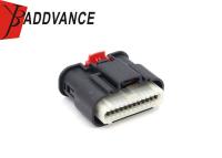 China 24 Pin Female PA66 GF20 Auto Wire Harness Connector Housing 16-22AWG Sealed for sale