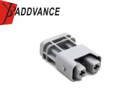 China 2 Pin Female Automotive Electrical Connector Housing Gray Sealed PBT 2-1-402 for sale