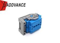 China 50 Way Automotive Electrical Connector Housing TE PBT-GF15 Sealed 16-22AWG Female for sale