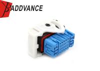 China 27 Way PA66 Blue Female Sealed Automotive Connector 27 Pin Wire to Wire for sale
